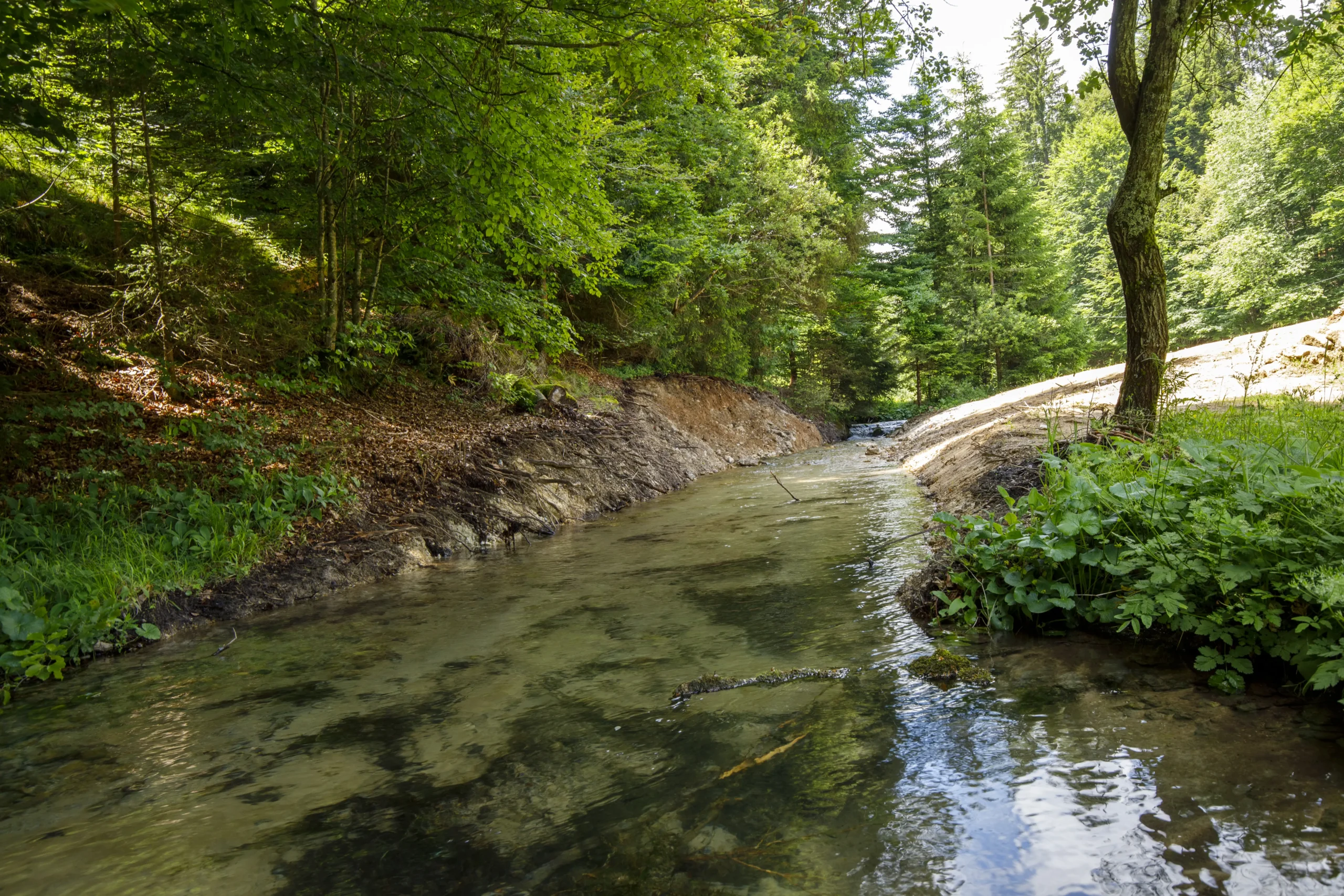Bijela Rijeka postala prvi slobodni vodotok u Hrvatskoj: Povijesni ...